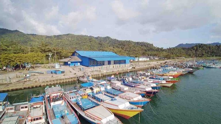 Harga Solar Subsidi Tembus Rp11 Ribu Lebih, Nelayan di Lampung Timur ...