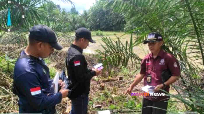 Residivis Illegal Logging di Lamsel Kena Tangkap Basah Saat Tebang ...